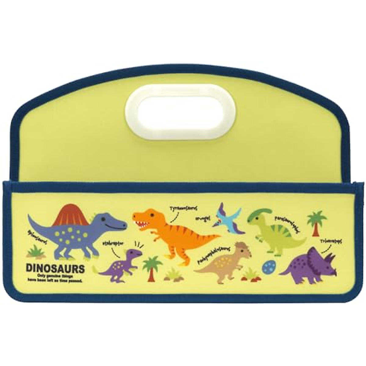 Skater ZBX1-A Anywhere Storage Box, Portable, Organization, Includes Handles, Dinosaurus, Pictures, Trinket Storage, Storage Case