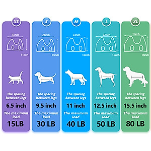 ATESON Pet Grooming Hammock Harness for Nail Trimming (XS 12lb), Sling Holder Hanger for Nail Clipping with Clippers, File, and Comb