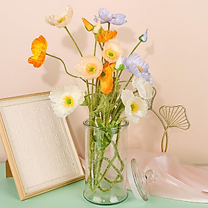 UrSpeedtekLive 2 Pack Glass Apothecary Jars with Lids, 32oz Clear Bathroom Accessories Canisters Storage Organizer, Cotton Ball Holder Containers, Glass Jars for Bathroom, Vanity, Laundry Room