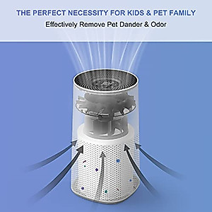 Air Purifier for Large Room, H13 HEPA Air Filter Cleaner for Bedroom, Covers up to 1000 sq ft, Auto whole Home Air Purifier Cleaner, Quiet Room Air Filters