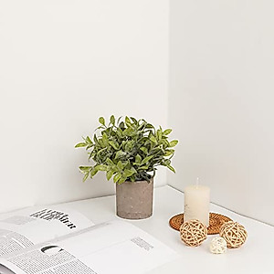 VaryFloral 3 Packs Small Fake Plants Artificial Potted Plants Set Realistic Eucalyptus Rosemary Mini Faux Greenery Potted Artificial Plants for Decoration for Home Décor Shelf Table Bathroom Indoor