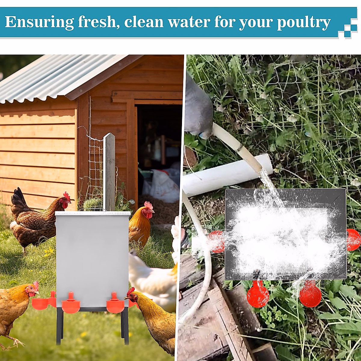 3 Gallons Chicken Waterer,Stainless Steels Automatic Chicken Waterer No Waste with Latch and Bottom Bracket，Poultry Watering 4 Water Cups Chicken Waterer and 4 Horizontal Automatic Chicken Nipples