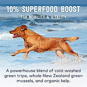 ZIWI Peak Air-Dried Dog Food – All Natural, High Protein, Grain Free and Limited Ingredient with Superfoods (Beef, 2.2 lb)