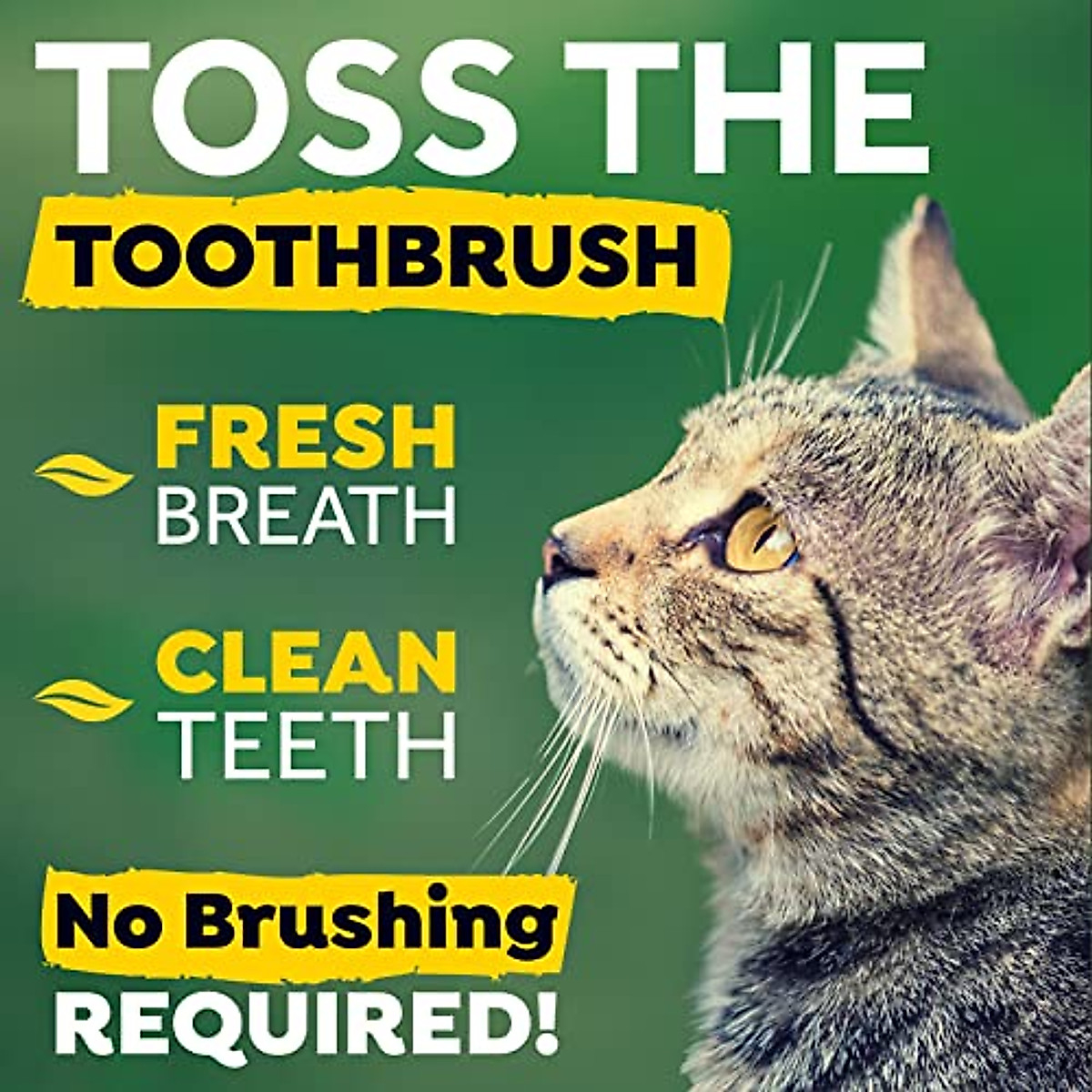 Fresh Breath by TropiClean Oral Care Water Additive for Cats, 16oz - Made in USA