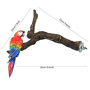 Seasonsky 8 PCS Natural Grape Stick Fork Bird Perch Bird Standing Stick Chewing Bird Toys Natural Grapevine Bird Cage Perch for Parrot Cages Toy for Cockatiels, Parakeets, Finches