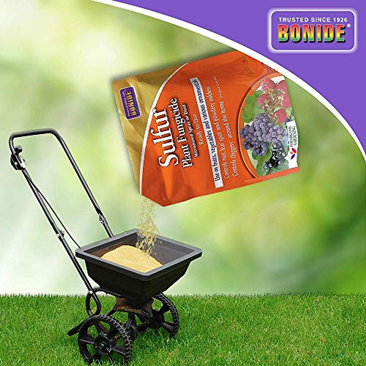 BONIDE Products INC 142 Sulfur Plant Fungicide Organically Controls Rust, Leaf Spot and Powdery Mildew, 4 lbs (2)