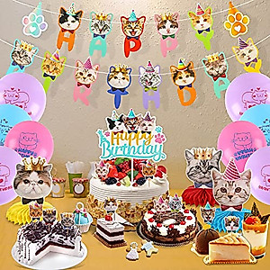 DECYOOL 39 Pcs Cat Birthday Decorations Cat Birthday Party Supplies, 2 Pcs Birthday Banner 3 Pcs Birthday Honeycombs 9pcs Birthday Balloons and 25 Pcs Cupcake Toppers for Kid cat lover
