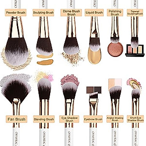 OMANIAC® Professional Makeup Brushes Set (12Pcs), Comfortable To Hold And Easy To Use. Full Face Travel Make up Brushes Set with Case, Perfect Birthday Gifts for Women.