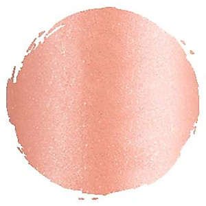 plumping nudes lipgloss