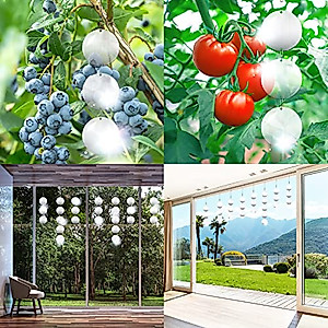Hedoc Bird Repellent Scare Discs - Large Reflective Bird Deterrent Control Device - Keeps Woodpeckers and Birds Away (8 Pack)