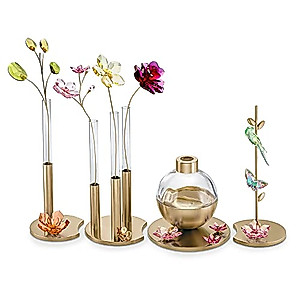 SWAROVSKI womens Brooch Magnet, ParRot Magnet - Small, One Size US