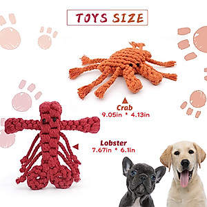 WishLotus 2Pc Dinosaur and Duck Shaped Dog Toys for Aggressive Chewers, Cotton Dog Chew Toys for Small to Large Breeds (Crab+Lobster)