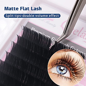 Matte Mink Flat Eyelash Extension 0.25 D Curl 10mm Ellipse Eyelashes False Mink Individual Eyelash Extension Professional Salon Used by Qeelasee
