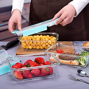 AILTEC Large Glass Food Storage Containers with Locking Lids - Bento Box Glass Lunch Containers - Glass Meal Prep Containers - Glass Storage Containers with Lids [3-Pack,36 OZ]