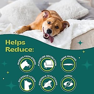 bSerene Pheromone Calming Solution for Dogs 30-Day Starter Kit: Plug-in Diffuser + Refill Helps Reduce Excessive Barking, Destruction, Stress, and Fear Great for Thunderstorms and Fireworks