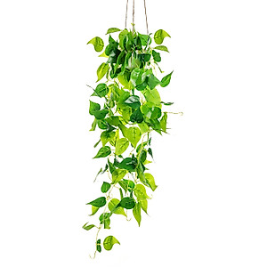 BACAMA Artificial Hanging Plants in White Pot Fake Greenery Vines Decor with Rope for Office Garden Home Wedding Room Decorations 1PCS