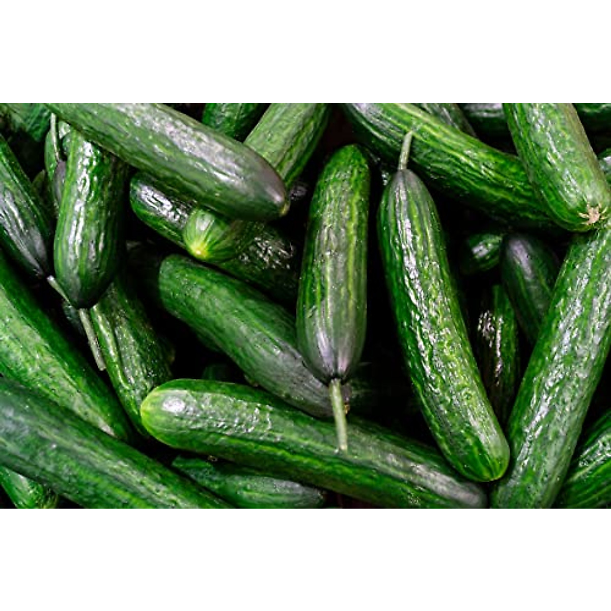 Crisp and Sweet “Beit Alpha” Cucumber Seeds – Harvest-Ready in Just 60 Days – Heirloom Seeds | Liliana's Garden |