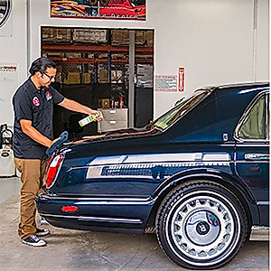 Chemical Guys ACC137 Secondary Container Dilution Bottle with Natural Sprayer, 3 Pack, 16 oz , White