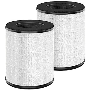 HSIAMEN Replacement Filter Compatible with Tenergy Renair TAP01, Cool-Living CL-6070A, Beaba, Tredy TD-1300, 3-in-1 H13 True HEPA Filters, White 2-Pack