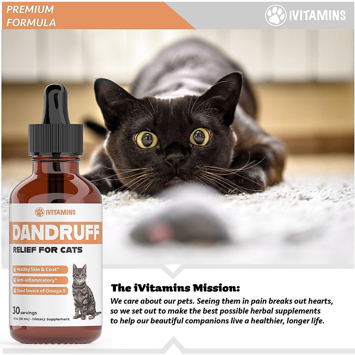 Cat Dandruff Treatment | Naturally Supports a Health Skin & Coat Health | Omega 3 for Cats | Cat Itchy Skin Relief | Allergy Relief for Cats | Cat Itchy Skin Relief | 1 fl oz