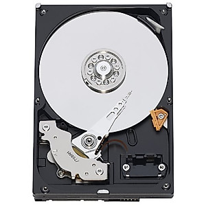 Western Digital 160 GB AV 100 Mb/s 7200 RPM 8 MB Cache Bulk/OEM AV Hard Drive- WD1600AVJB