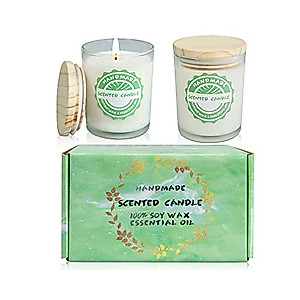 OSHINE Scented Soy Candle 2 Packs, Vanilla Aroma, Total 10.6 OZ Burn 80 Hrs, 8% Natural Essential Oils Glass Candles,100% Natural Soy Wax Gift Set for Women Bathing Yoga Birthday Christmas(Vanilla)