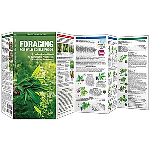Foraging for Wild Edible Foods: A Folding Pocket Guide to Sustainable Practices & Harvesting Techniques (Outdoor Recreation and Survival)