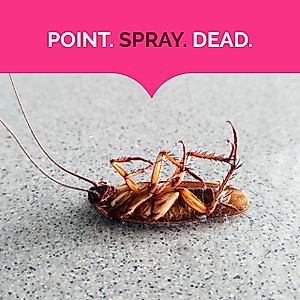 Hot Shot Ant & Roach Plus Germ Killer, Fresh Floral Scent Aerosol, 17.5-Ounce, 12-Pack