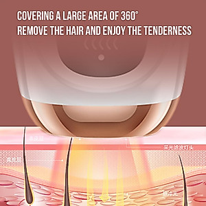 LANAFARA Laser Hair Removal,Painless At-Home IPL Hair Removal for Women and Men for Face Armpits Legs Arms Bikini Line, white