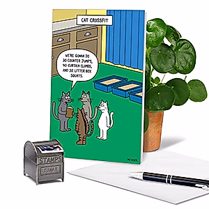 NobleWorks - 1 Funny Animal Card for Birthdays - Pet Cat and Dog Humor, Birthday Notecard with Envelope - Cat Gym C7298BDG