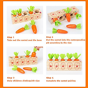 Xylolin Montessori Toys for Toddlers 1-3, Carrots Shapes Sorting and Matching Game Wooden Toys, Fine Motor Skill Early Learning Preschool Educational Toys Gifts for 1 2 3 Year Old Boys Girls