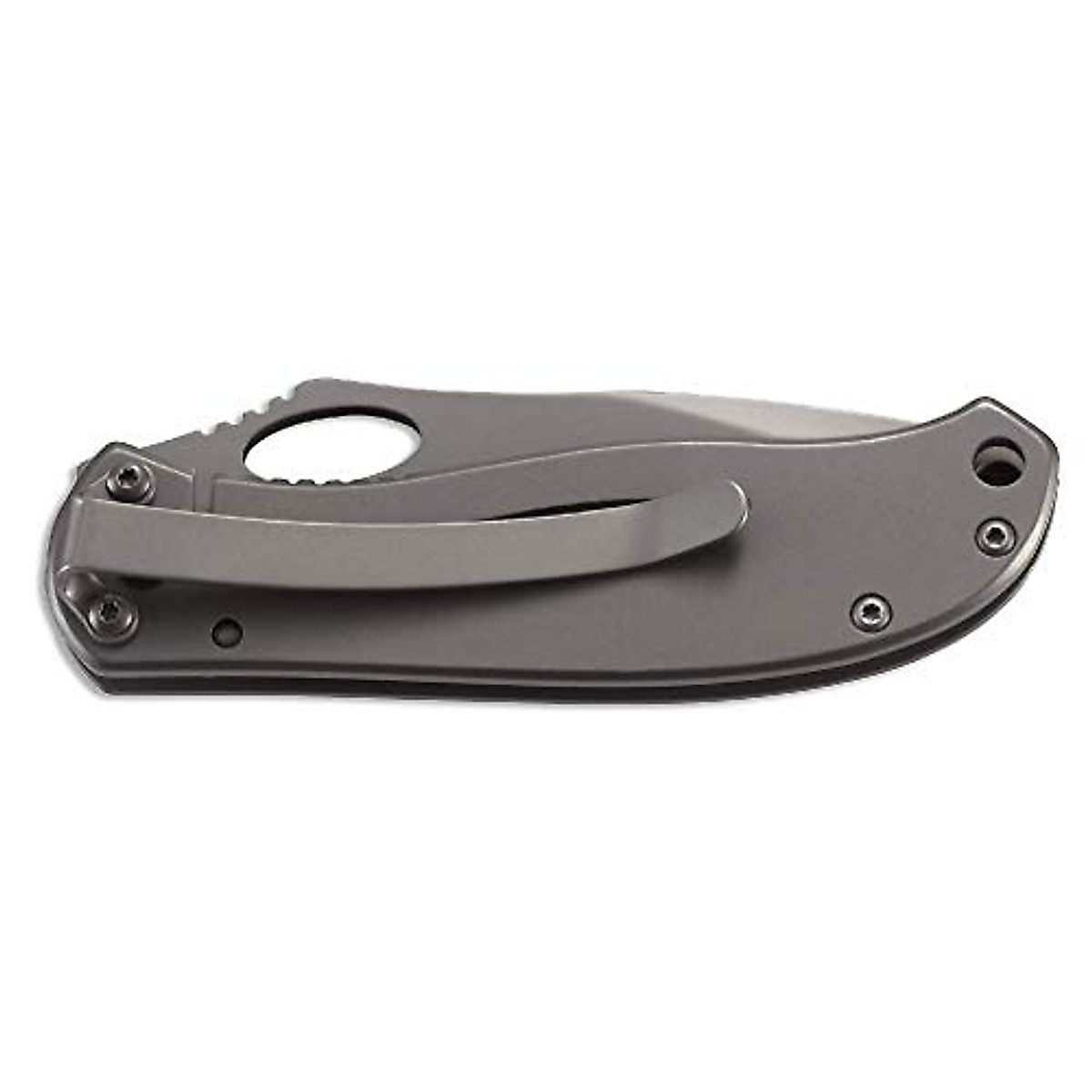 Columbia River Knife & Tool - 9001317 CRKT Pazoda 2 EDC Folding Pocket Knife: Compact Everyday Carry, Gray Ti Nitride Blade, Thumb Slot, Locking Liner, Stainless Handle, Pocket Clip 6470