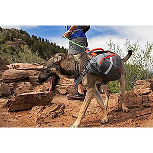 Mountainsmith K9 Dog Pack, Adjustable Chest and Back Harness Canine Backpack, Saddle Bags with Zippered Pockets for Camping, Travel, Outdoors, Backpacking, Hiking