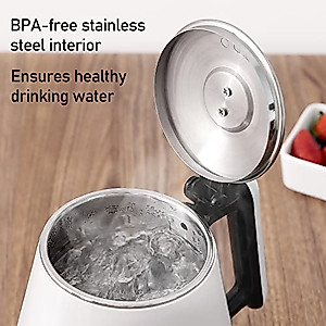 Naibsan Electric Kettle, 100% Stainless Steel Water Boiling Tea Kettle, BPA Free hot water kettle electric/Pour Over Coffee Kettle