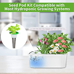 121 Pcs Seed Pod Kit for AeroGarden, Hydroponics Garden Accessories for Hydroponic Growing System, Grow Anything Kit with 30 Grow Sponges, 30 Grow Baskets, 30 Pod Labels, 30 Grow Domes, 1 Tweezer