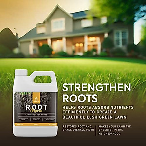 Root Organic Lawn Fertilizer - Grass Fertilizer for Lawn with Potassium for Root Growth, Lawn Fertilizer That Conditions Soil, No Harsh Chemicals Lawn Care, 32 oz Lawn Food for 5,000 sq. ft.