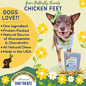 Green Butterfly Brands Dog Chews – Chicken Feet for Dogs Sourced and Made in USA. Single Ingredient All-Natural Dog Dental Chew. Chicken Feet Dog Treats Rich in Glucosamine for Joint Health 10 Pack