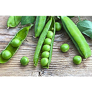 Lincoln Garden Pea Seeds for Planting, 50+ Heirloom Seeds Per Packet, (Isla's Garden Seeds), Non GMO Seeds, Botanical Name: Pisum sativum, Great Home Garden Gift