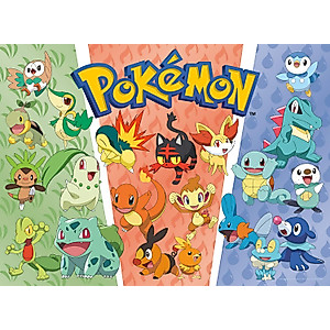 Buffalo Games - Pokemon- Starters Pokemon - 100 Piece Jigsaw Puzzle for Families -Challenging Puzzle Perfect for Game Nights - Finished Size is 15.00 x 11.00