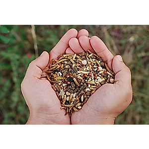 LITTLE FARMER PRODUCTS Chicken Fun-DOO Non-GMO, Soy-Free Chicken Treat | Premium Poultry Meal Worm, Vegetable & Herb Mix (3 lbs)