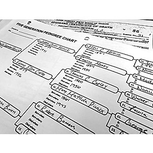 Five Generation Pedigree Charts for Genealogists (7-pack) | Archival-Quality Genealogy Forms for Ancestry