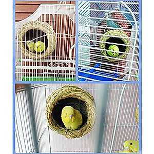 Pet Bird Bird House Bird Nest Parakeet Budgie Cockatiel Finch Sparrows Breeding Nesting Bird Aviary Cage Box Anti-Pecking Bite