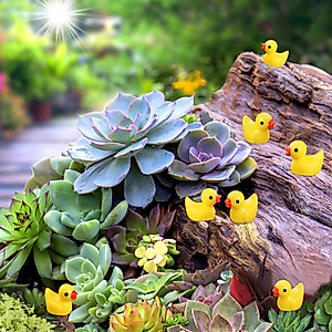 LOUHUA Mini Ducks 220 Pack Tiny Duck Figurines Bulk for Miniature Dollhouse Decor Accessories Garden Aquarium Potted Ornament Party Toys DIY Craft Office Classroom Activity to Hide