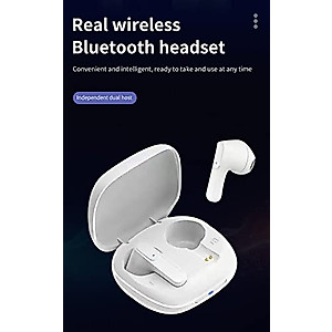 True Wireless Stereo Earbuds Bluetooth 5.0 in Ear Light-Weight Headphones Built-in Microphone, Super bass Long Distance Connection Headset with Charging Case (White)