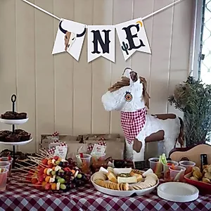 VAVAYAO First Rodeo High Chair Banner - Western Themed Birthday, First Rodeo, Baby 1st Birthday Party Decorations, Farm Themed Party Decorations, Bull Skull, Cactus, Wild West, 1st Birthday