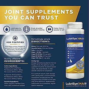 Lubrisyn Hyaluronic Acid + MSM Joints Supplement, 8oz: Natural Pure HA Liquid Dog and Cat Joint & Cartilage Support, Relief and Lubrication for Pets Including Dogs, Cats and Horses, Vegan Formula