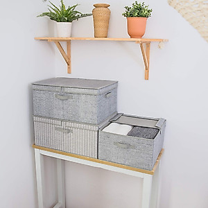 GRANNY SAYS Bundle of 2-Pack Large Rectangle Storage Bins & 2-Pack Closet Storage Bins