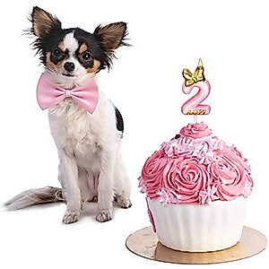 Nuanchu Pink Number 2 Candle Girl Happy Birthday Cake Topper, Birthday Candle for Cake Topper Birthday Baking Celebration Reunions Anniversary Party Supplies