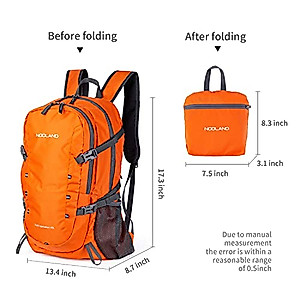 Sharkborough Daypack Backpacks, Orange, 40 Long