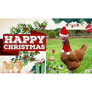 Christmas Pet Chicken Hat Scarf Set for Hens, 12 Pieces Santa Hat Cloak with Adjustable Chin Strap Cute Decorative for Duck Hens Rabbit Kitten